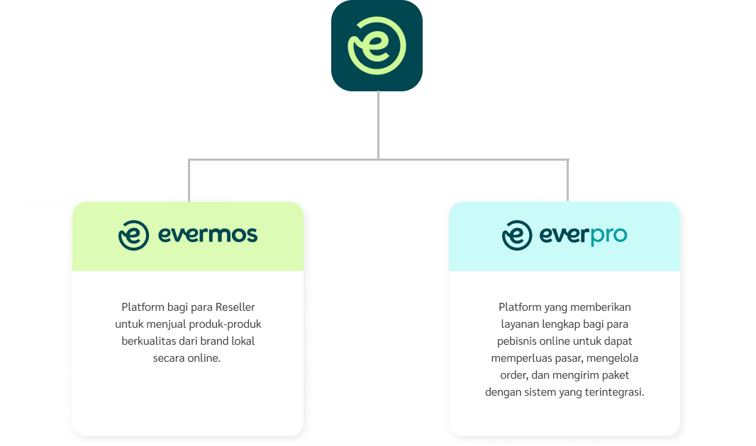 Evermos: Cari Tahu Lebih Banyak Tentang Kami
