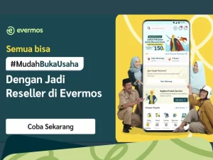Apa Itu Bisnis Evermos? Cari Tahu Tentang Evermos Disini! - Evermos